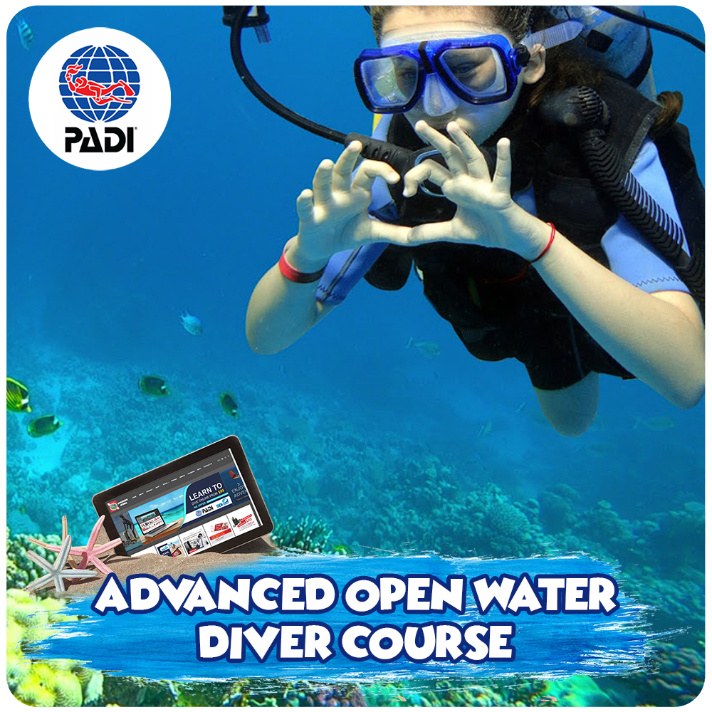 Learn To Scuba Dive Online in Arizona With Saguaro Scuba