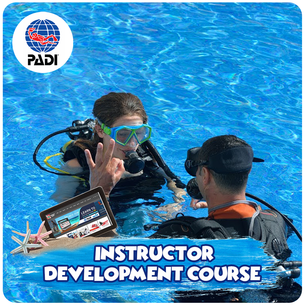 Padi Instructor Development Course - Saguaro Scuba