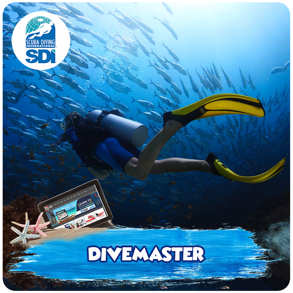 SDI Online eLearning Courses | Arizona's Leading SDI Dive Center