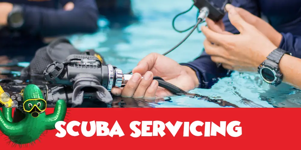 servicing - Saguaro Scuba